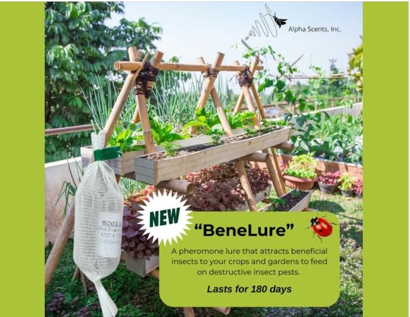 California Certified Organic Farmers (CCOF) approved – Alpha Scents