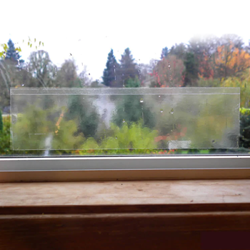 Home Window Bug Catcher 2 pc – Alpha Scents