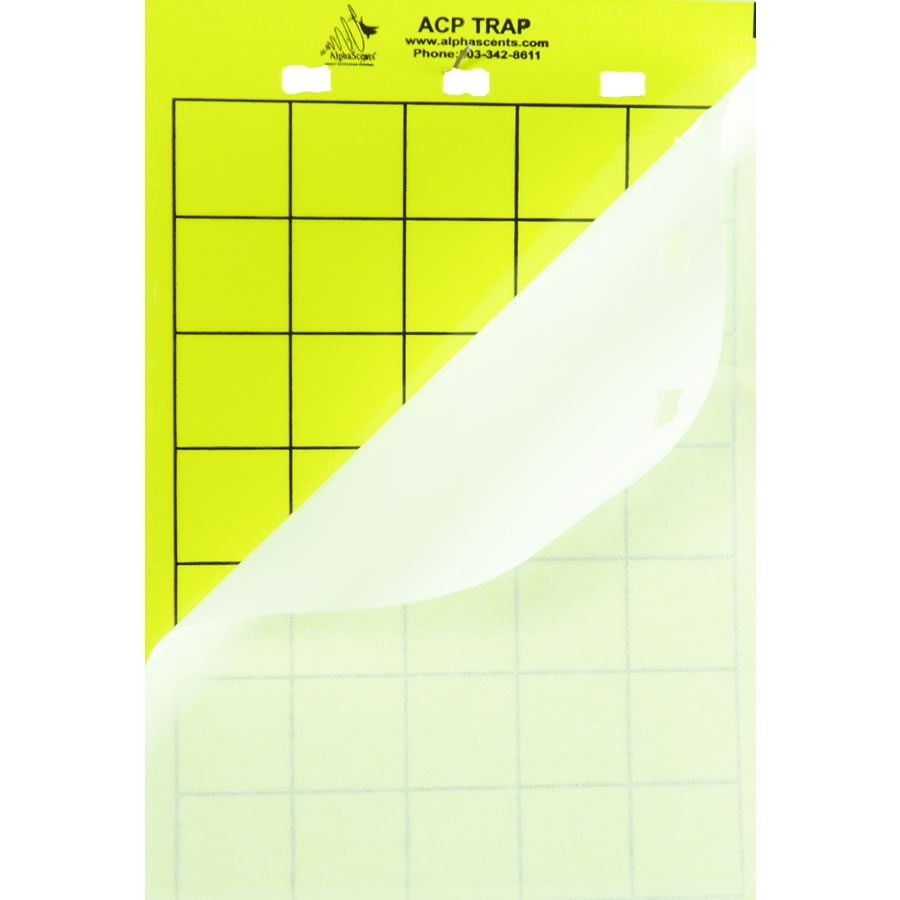 ACP Trap – Alpha Scents