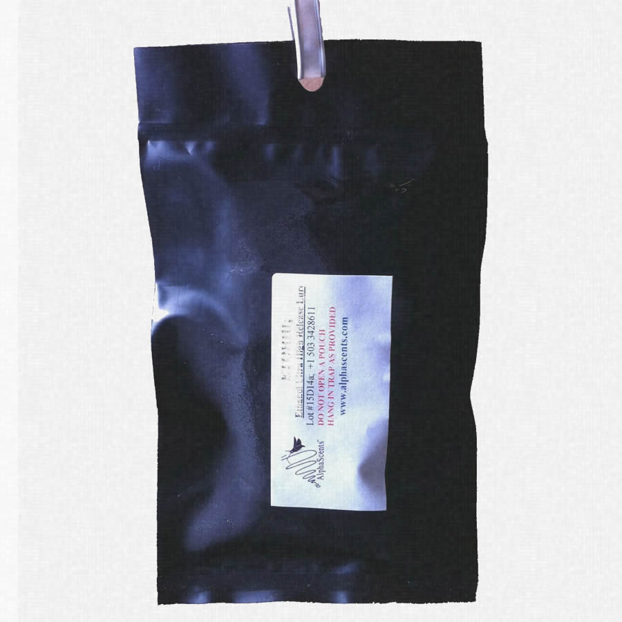 Dryocoetes autographus Lure – Alpha Scents