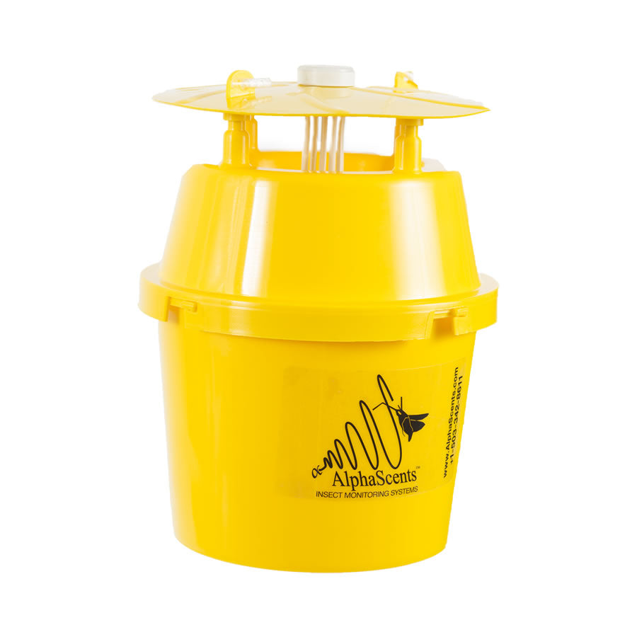 UNI-Trap Yellow – Alpha Scents