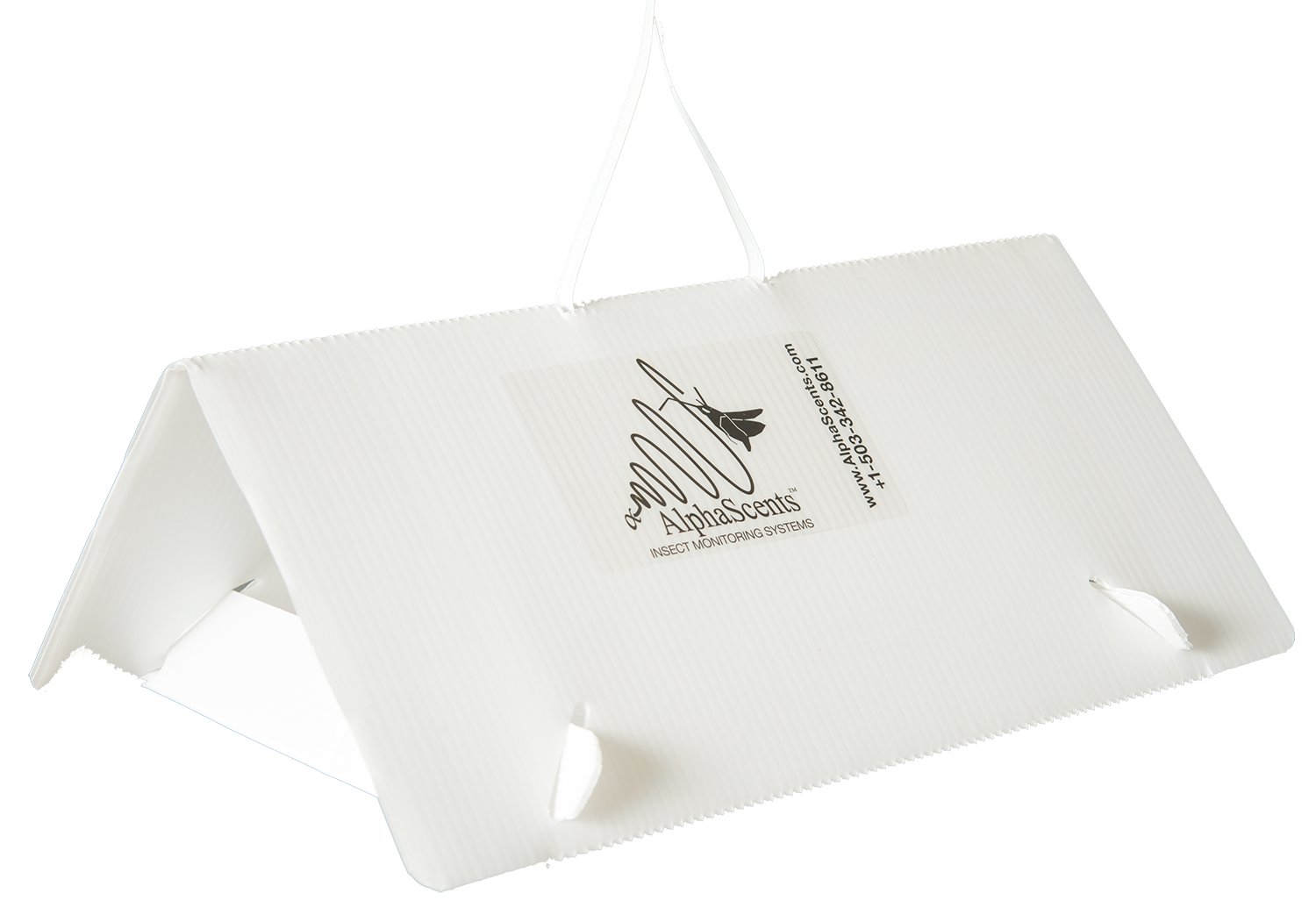 Plastic Delta Trap (White) complete (includes sticky insert and hanger ...